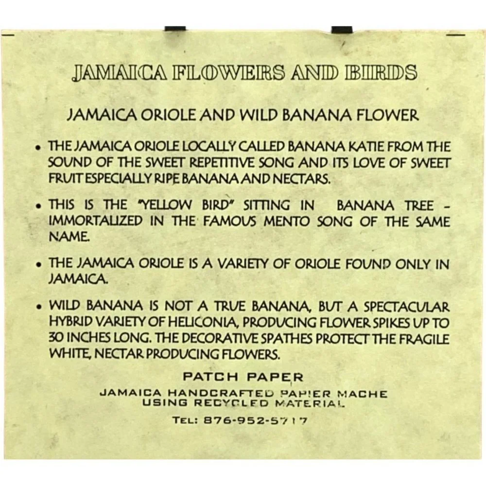 Art | Jamaica Oriole Wild Banana Flower Birds Patch Paper Mache Framed ...